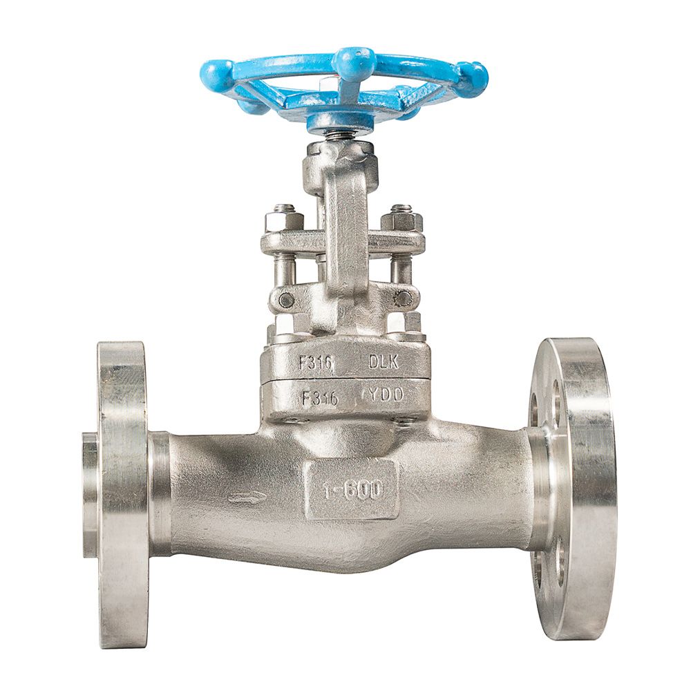 Globe, Throttle, and One-Way Valves | Kairuite: Your Trusted Valve ...