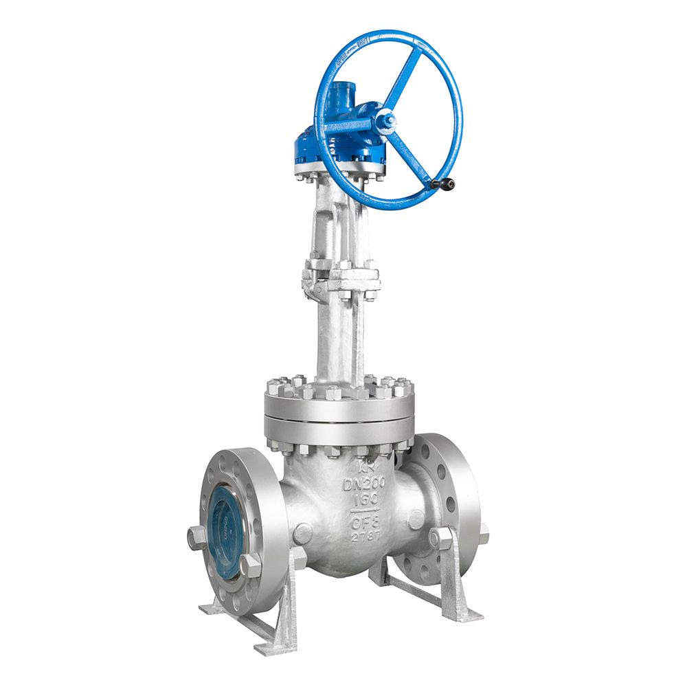 Cryogenic Gate Valve Supplier